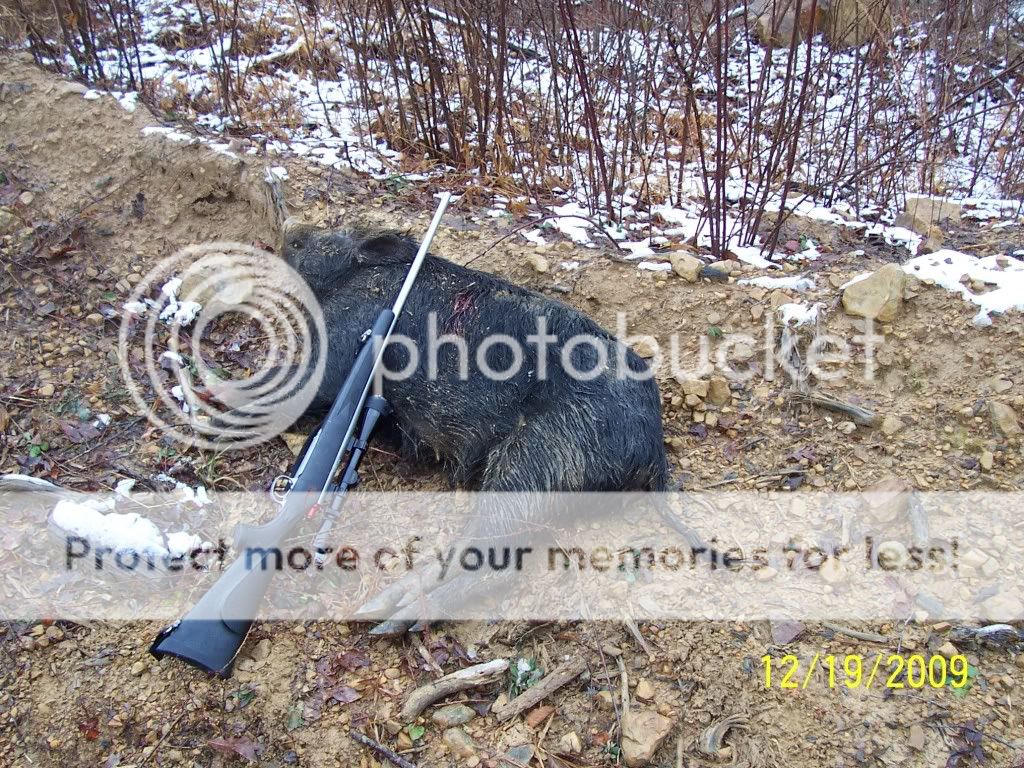 Are 140 Partitions good for boar? - 24hourcampfire