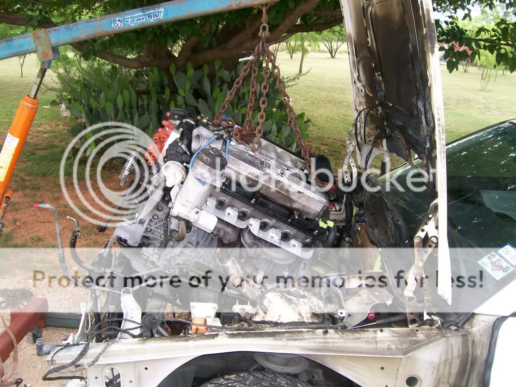 M70 Rebuild/Dressup - Progress Thread